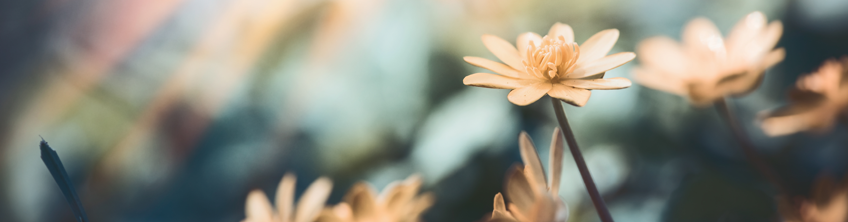 At Our Core: Powerful Reminders in Unexpected Places